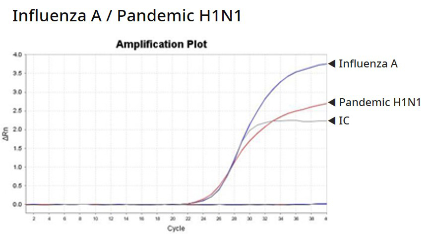 코젠바이오텍 KOGENE BIOTECH